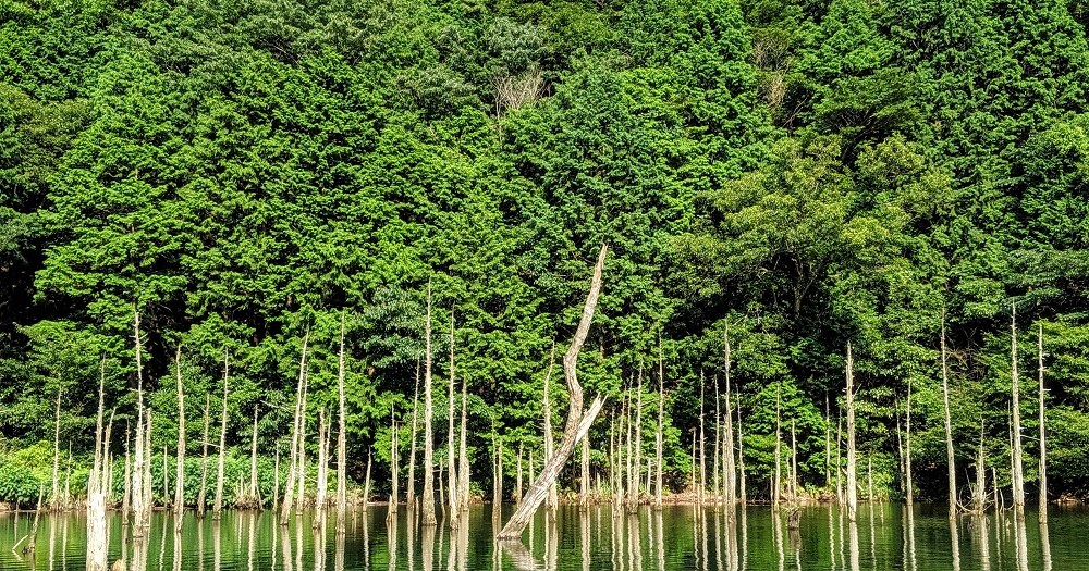 Japan Travel: Mysterious landscape found near a park with severed heads ...
