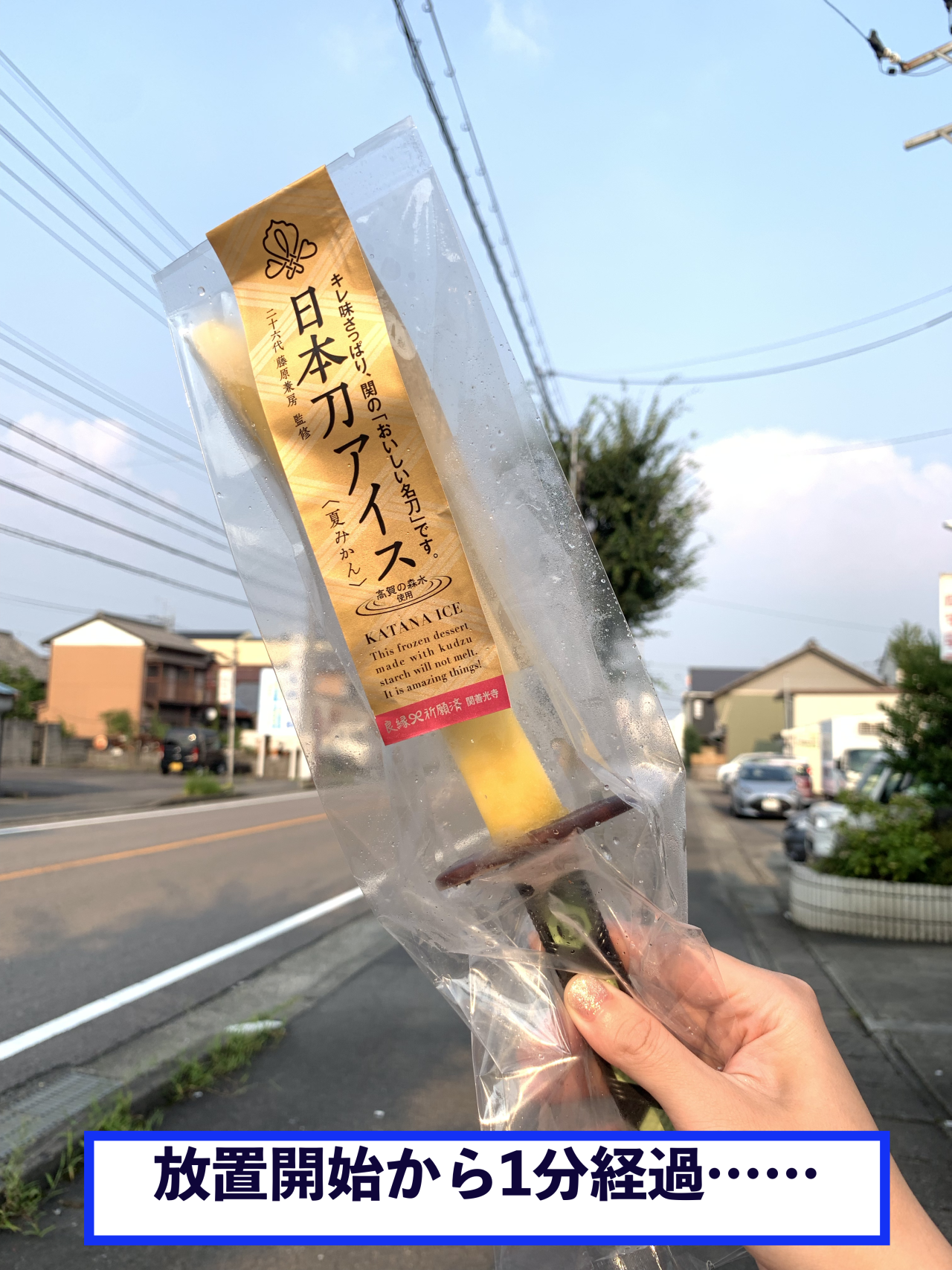 Japanese samurai sword ice cream crafted by master swordsmith from ...