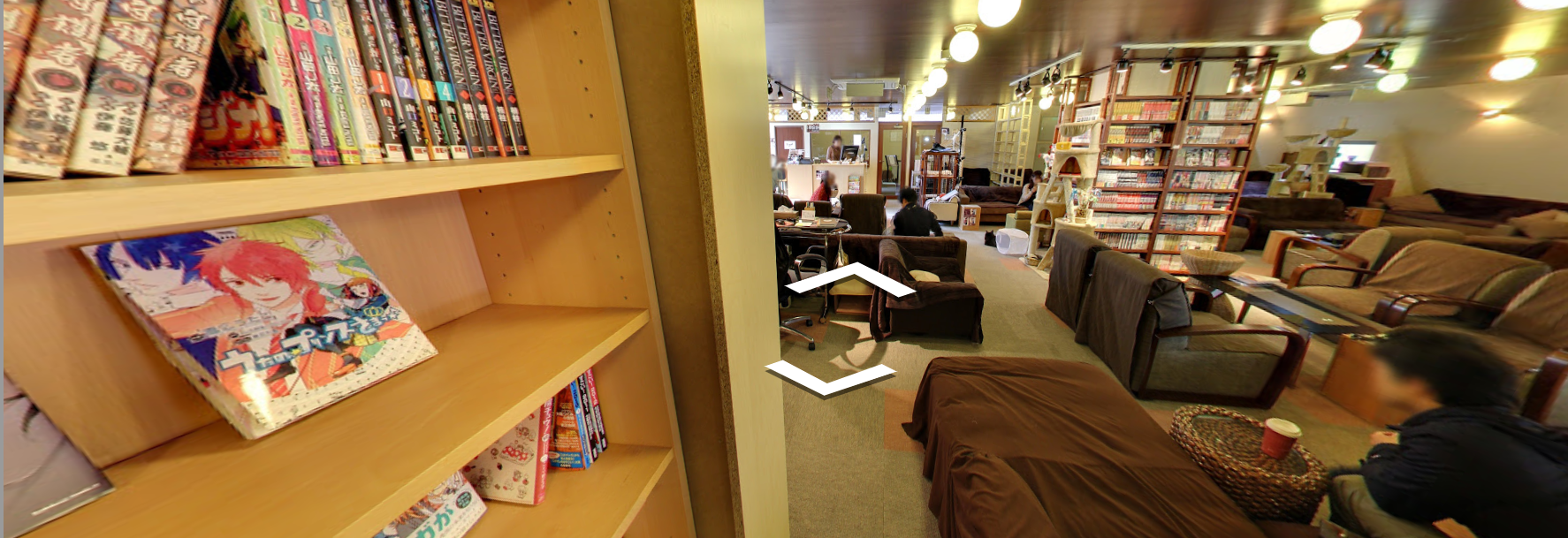 Combination cat cafe/manga cafe in Tokyo is an awesome place to spend ...