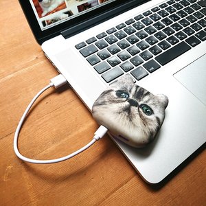 Charge up your phone with the power of a portable cat battery from ...