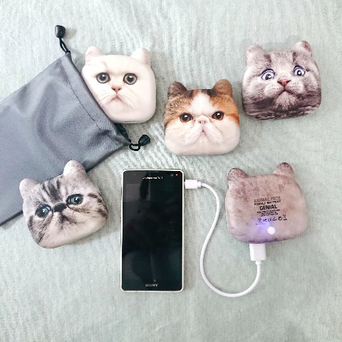 Charge up your phone with the power of a portable cat battery from ...