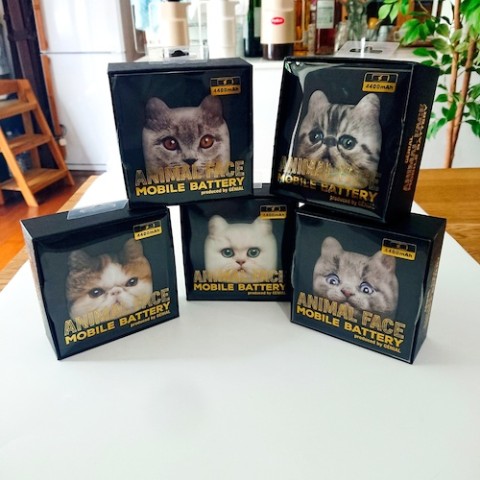 Charge up your phone with the power of a portable cat battery from ...