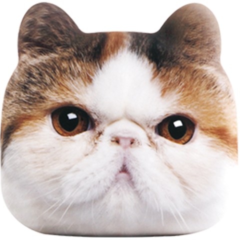 Charge up your phone with the power of a portable cat battery from ...