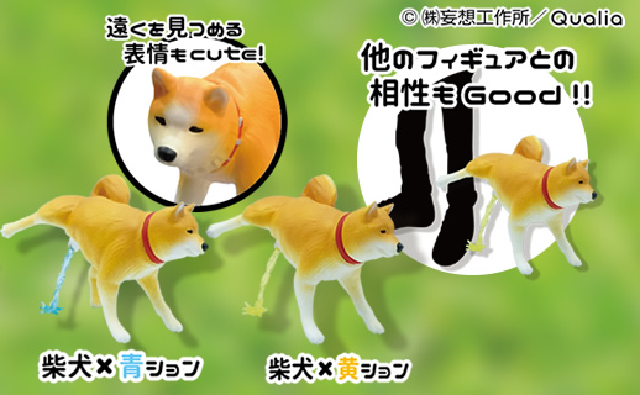 Adorable Japanese Shiba Inu dog looks like he’s trying out for a part ...