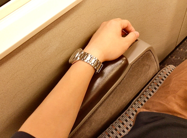 Is the Shinkansen bullet train Green Car upgrade worth it when ...