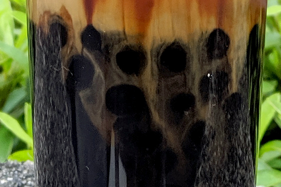 Tapioca tea is the biggest thing in Tokyo right now, so we try Tokyo’s ...