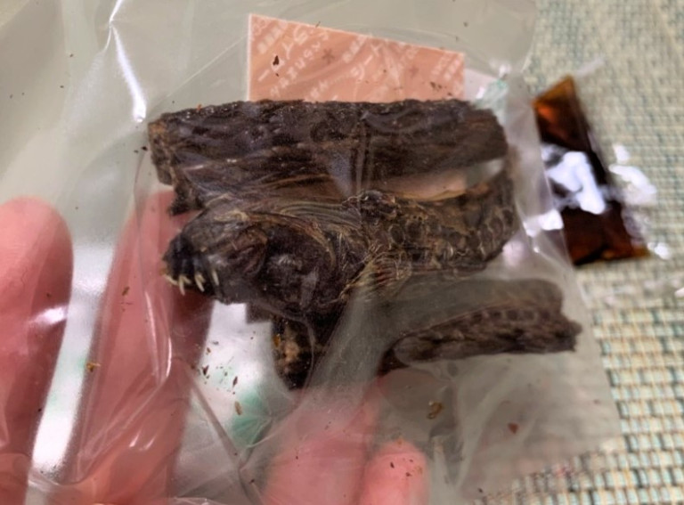 Try some Alien Soup from Japan, now with more alien! | SoraNews24 ...