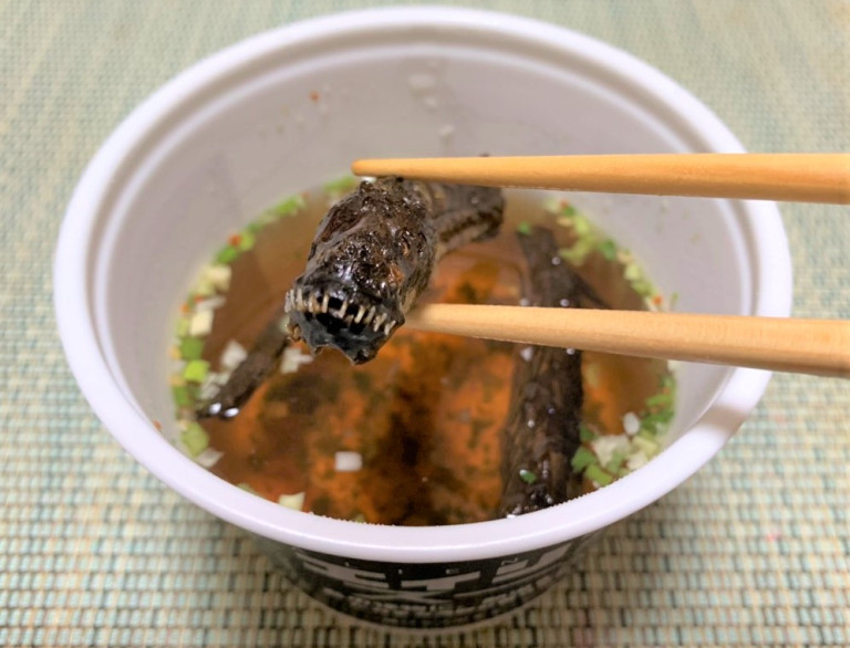 Try some Alien Soup from Japan, now with more alien! | SoraNews24 ...