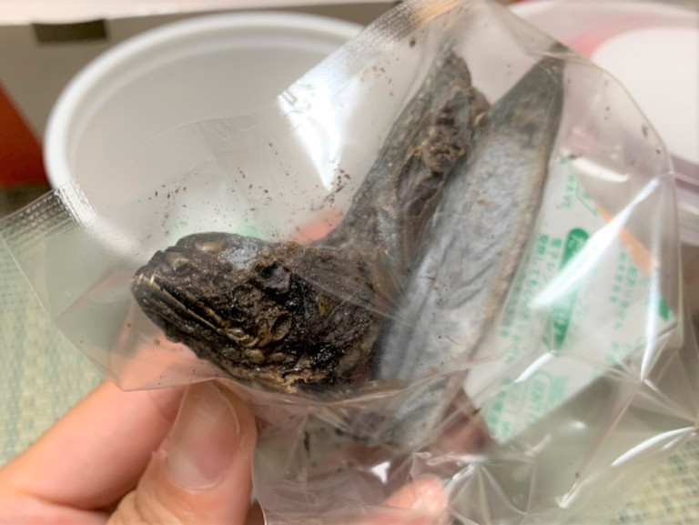 Try some Alien Soup from Japan, now with more alien! | SoraNews24 ...