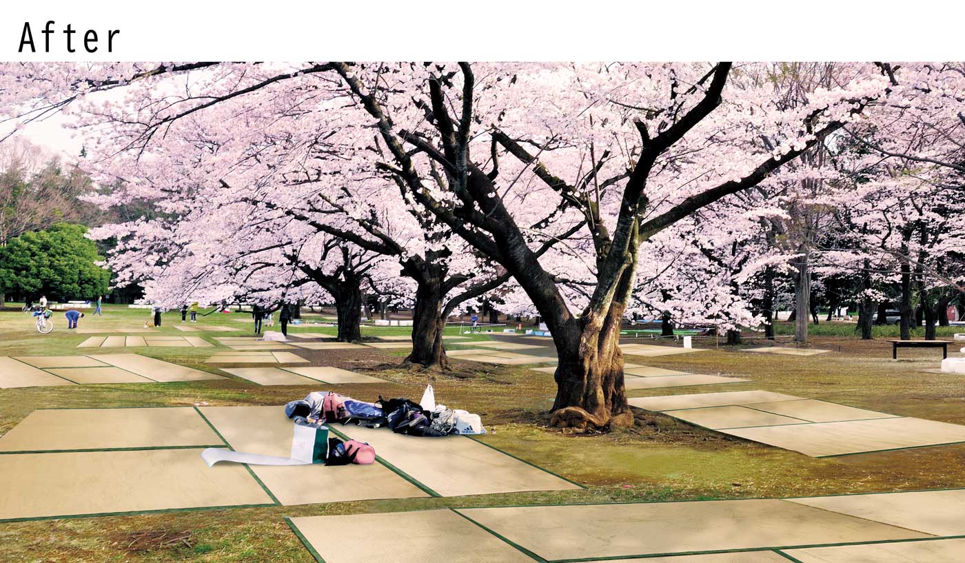 New sakura cherry blossom viewing sheets bring old-school beauty to ...