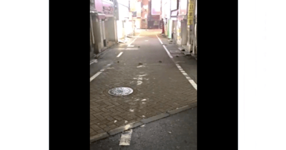 Shibuya rats scuttle along streets in the wake of Typhoon Hagibis【Video ...