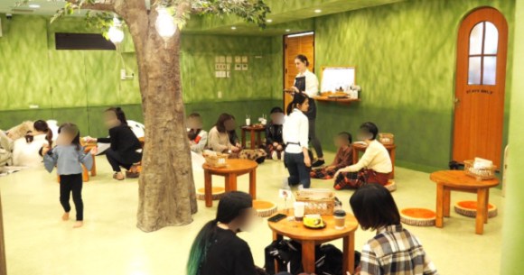 Pig Cafe Harajuku mipig micro pigs animal cafes Shibuya Tokyo Japan ...