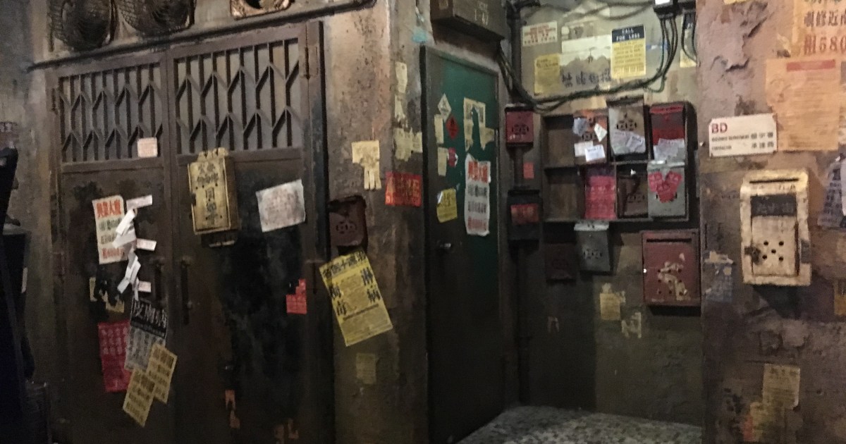 WK 23 | SoraNews24 -Japan News-