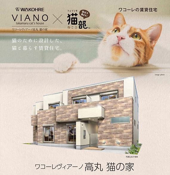 New cat-friendly homes in Japan come specially designed for felines ...