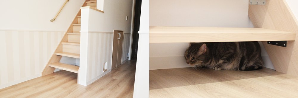New cat-friendly homes in Japan come specially designed for felines ...