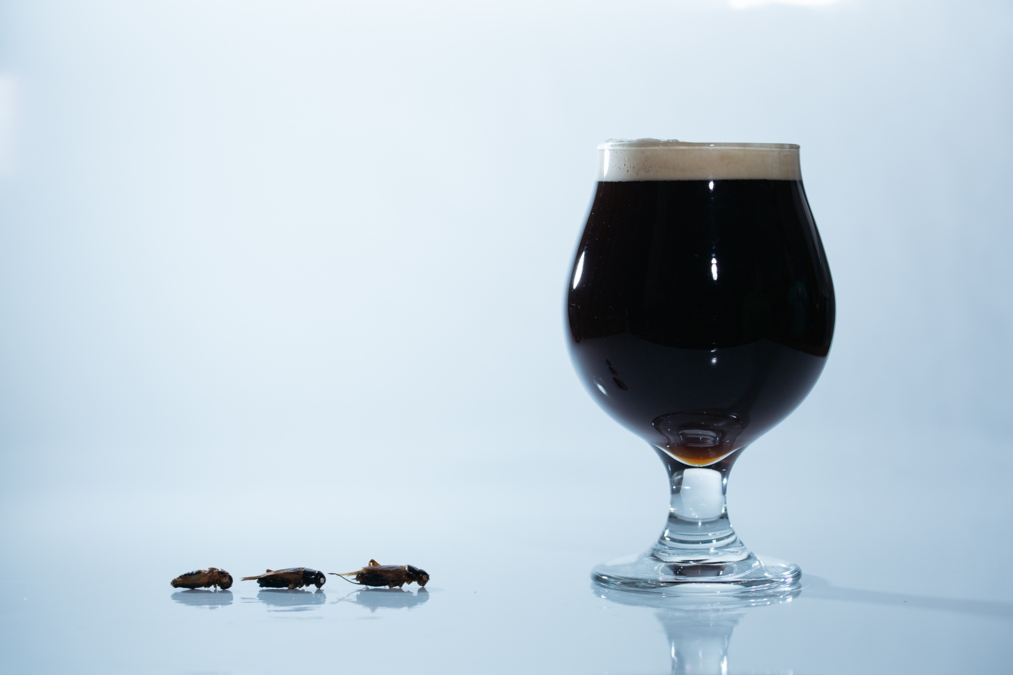 Dark ale made with crickets coming to Shibuya this March | SoraNews24 ...