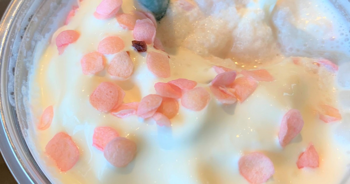 Starbucks Japan sakura cherry blossom Frappuccino milk pudding drink ...