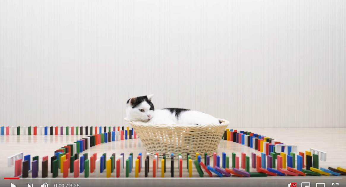 Japan’s Cats and Dominos video warms the heart, makes us want to stay ...