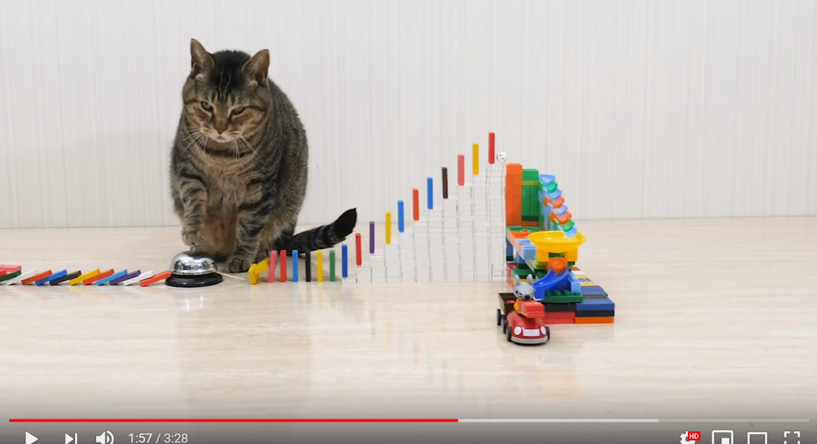 Japan’s Cats and Dominos video warms the heart, makes us want to stay ...