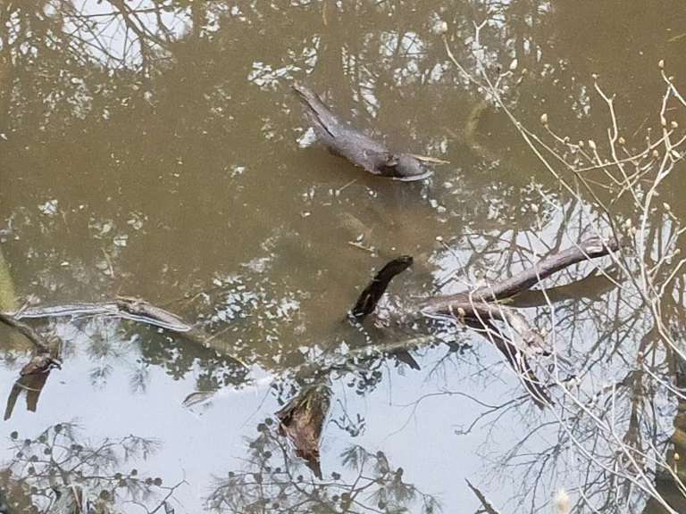 Visiting Kyoto’s Pool of Blood — A ghost-hunting alternative to the ...