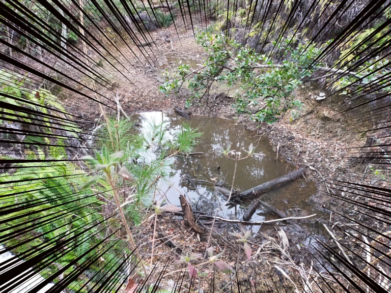 Visiting Kyoto’s Pool of Blood — A ghost-hunting alternative to the ...