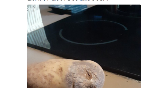 Japanese Twitter is in peels of laughter over this ghastly, grinning ...