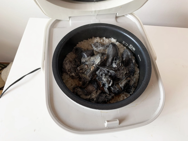 Let’s cook this jet-black chicken in the rice cooker and see what ...