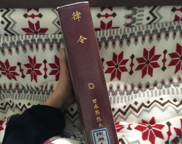 Using Japan’s ancient recipe for homemade instant rice that lasts at ...