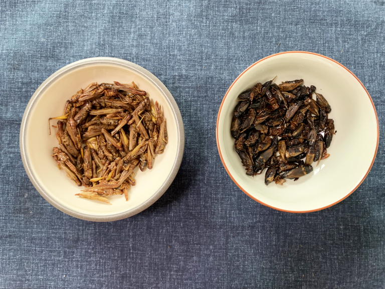 Our reporter eats more bugs from a Tokyo vending machine, compares ...