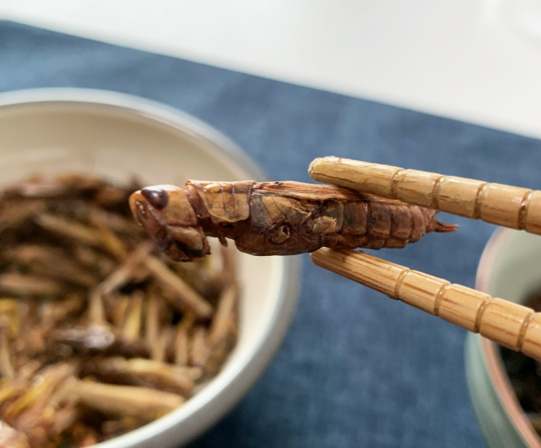Our reporter eats more bugs from a Tokyo vending machine, compares ...