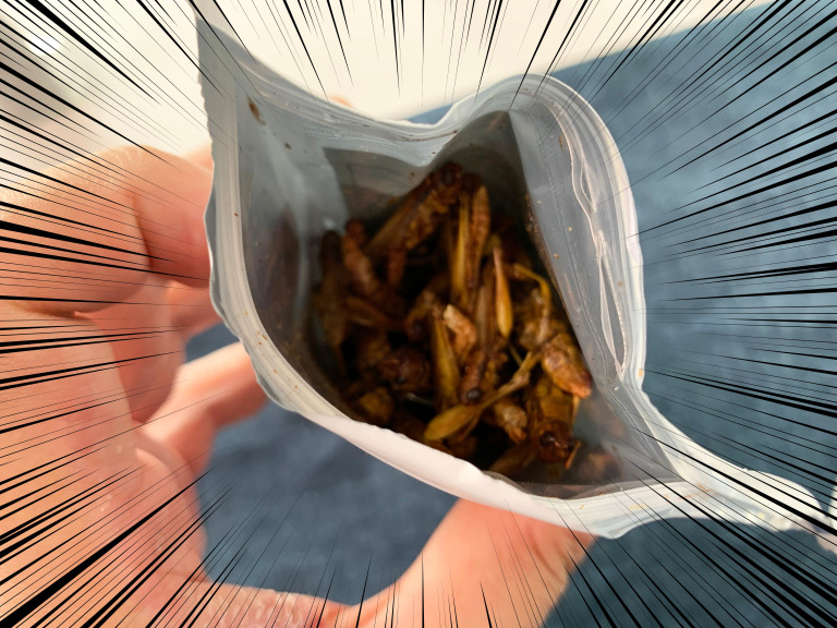 Our reporter eats more bugs from a Tokyo vending machine, compares ...
