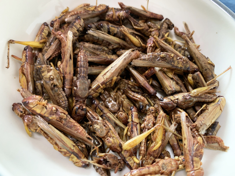 Our reporter eats more bugs from a Tokyo vending machine, compares ...