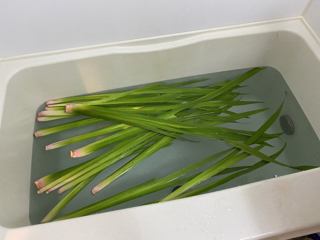 Japanese bath hack: Toss iris leaves in the tub for a traditional shobu ...