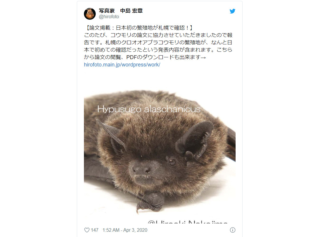 Tag: bats | SoraNews24 -Japan News-
