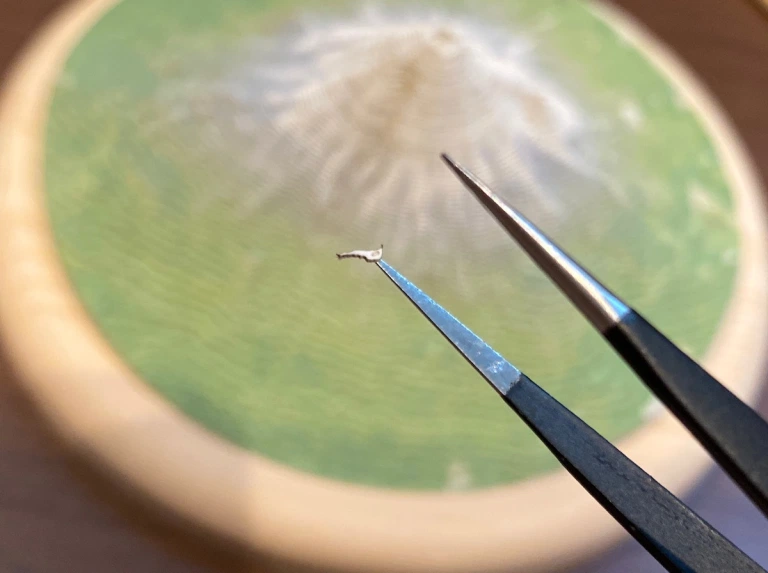 Cancelled your trip to climb Mt. Fuji? Build the mountain yourself with ...