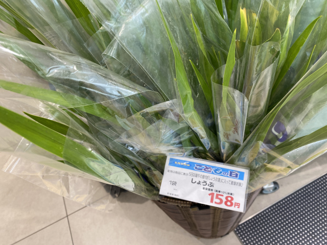 Japanese bath hack: Toss iris leaves in the tub for a traditional shobu ...