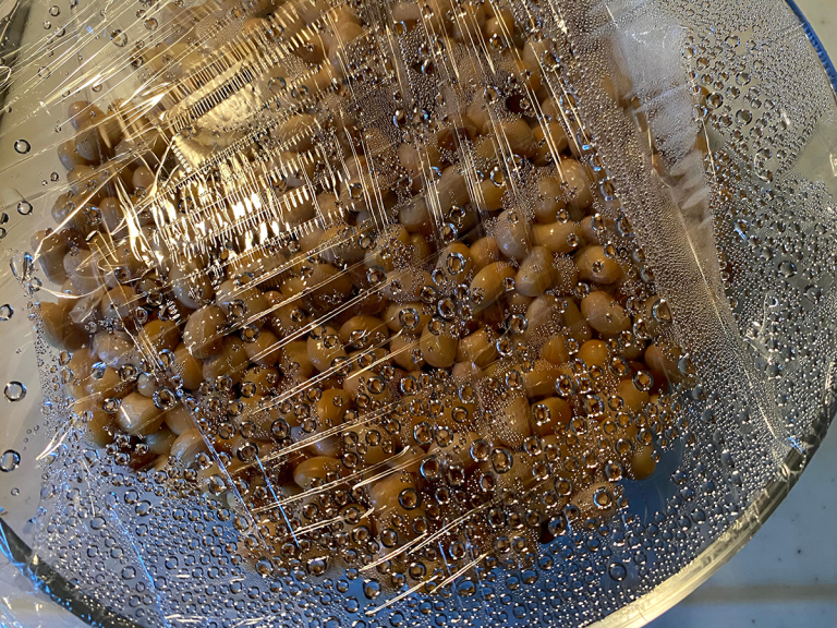 Natto for beginners? How to half-make Japanese fermented soybeans at ...