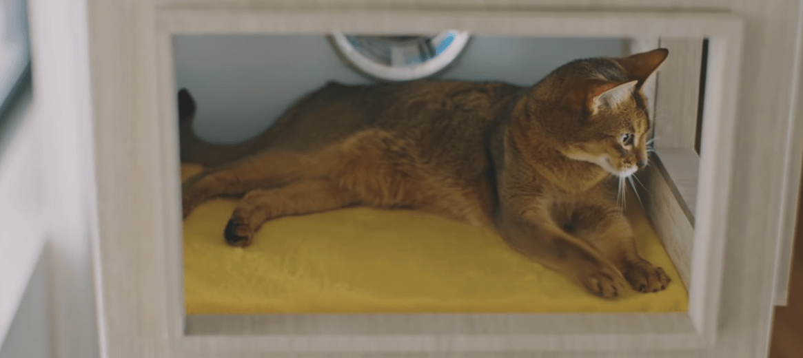 Japanese architecture firm creates luxurious “Cat High-Rise Condominium ...