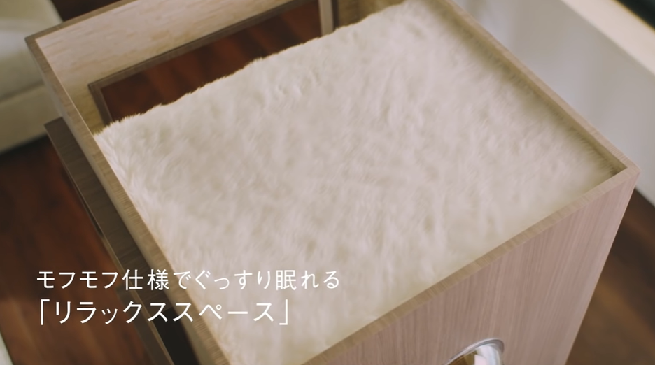 Japanese architecture firm creates luxurious “Cat High-Rise Condominium ...