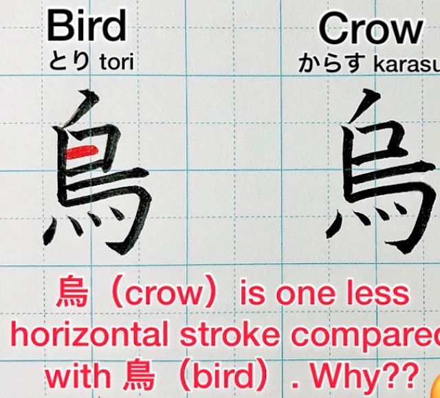 Japanese teacher shares surprising reason why the kanji for crow has ...