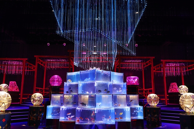 Mutant Fish with Transparent Scales Discovered at Japanese Fishery ...