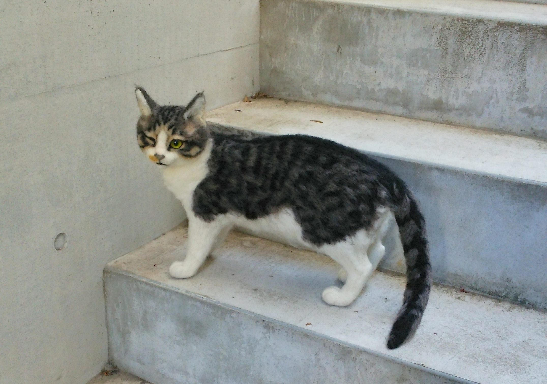 Japan’s leading maker of giant cat heads needs your help! | SoraNews24 ...