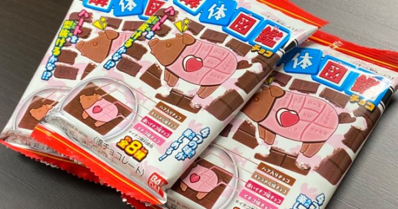 Learn about meat cuts with…chocolate? | SoraNews24 -Japan News-