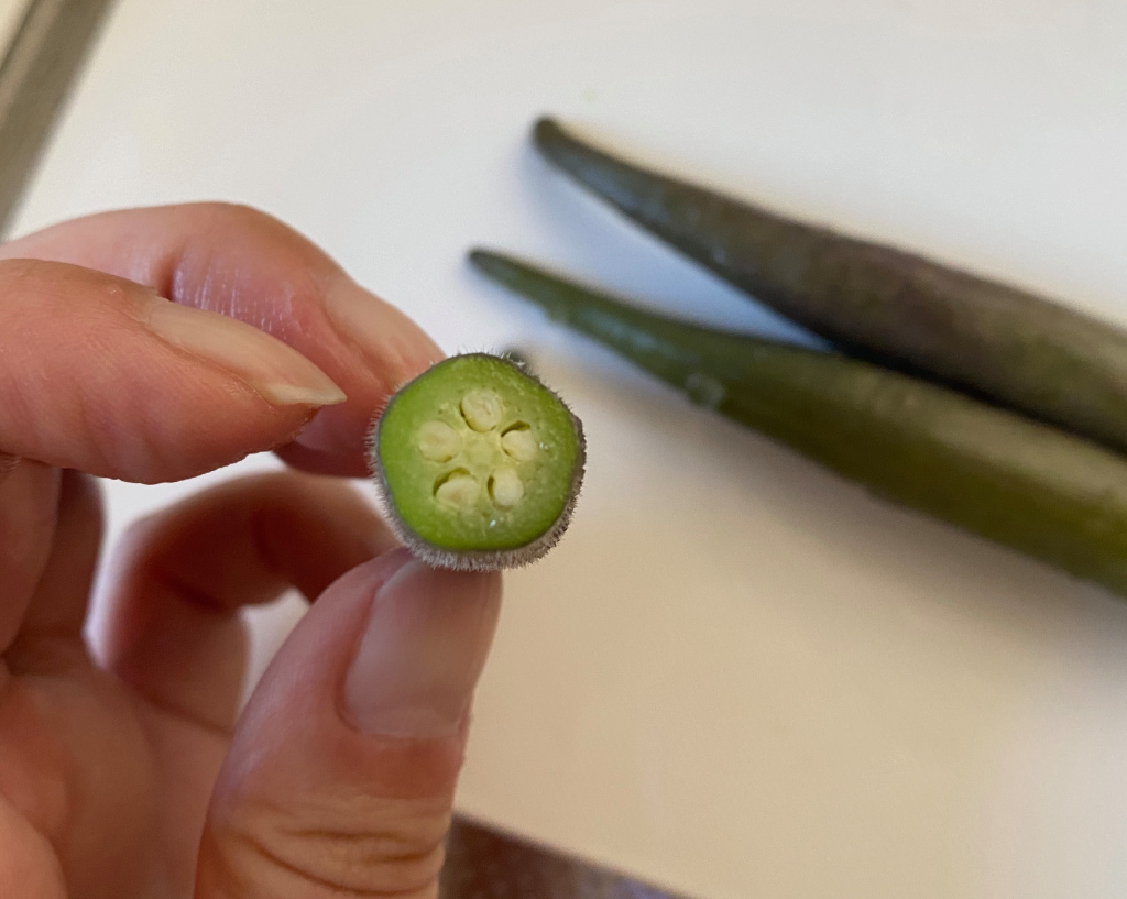 Kandaba, moui, and sakuna: We have fun taste-testing Okinawan fruits ...