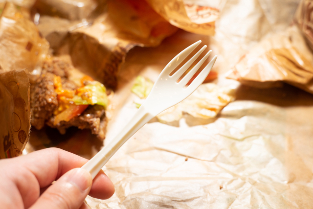 We try Burger King’s first-ever bunless burger in Japan | SoraNews24 ...