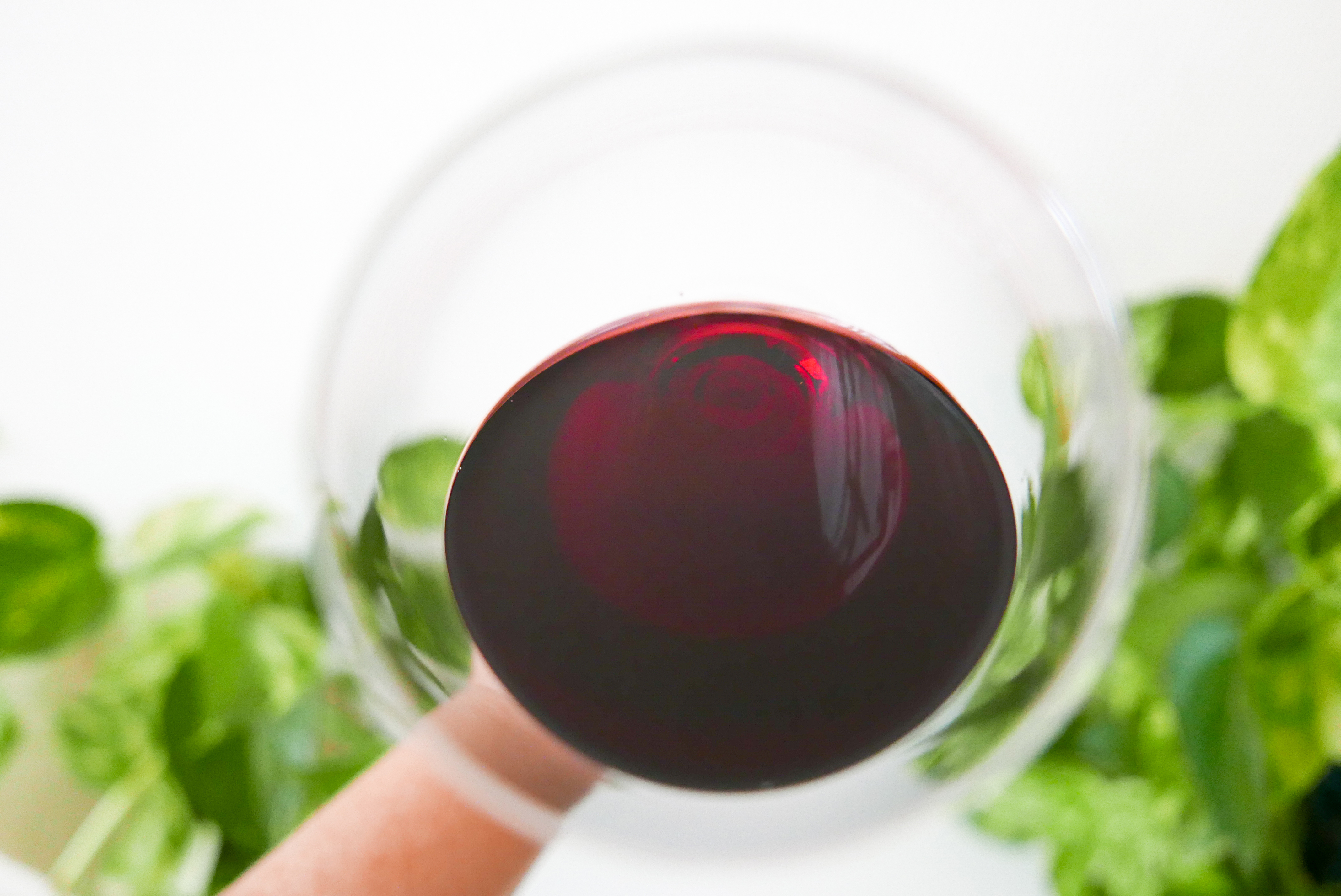 Drinking wine made from the only train station platform vineyard in ...