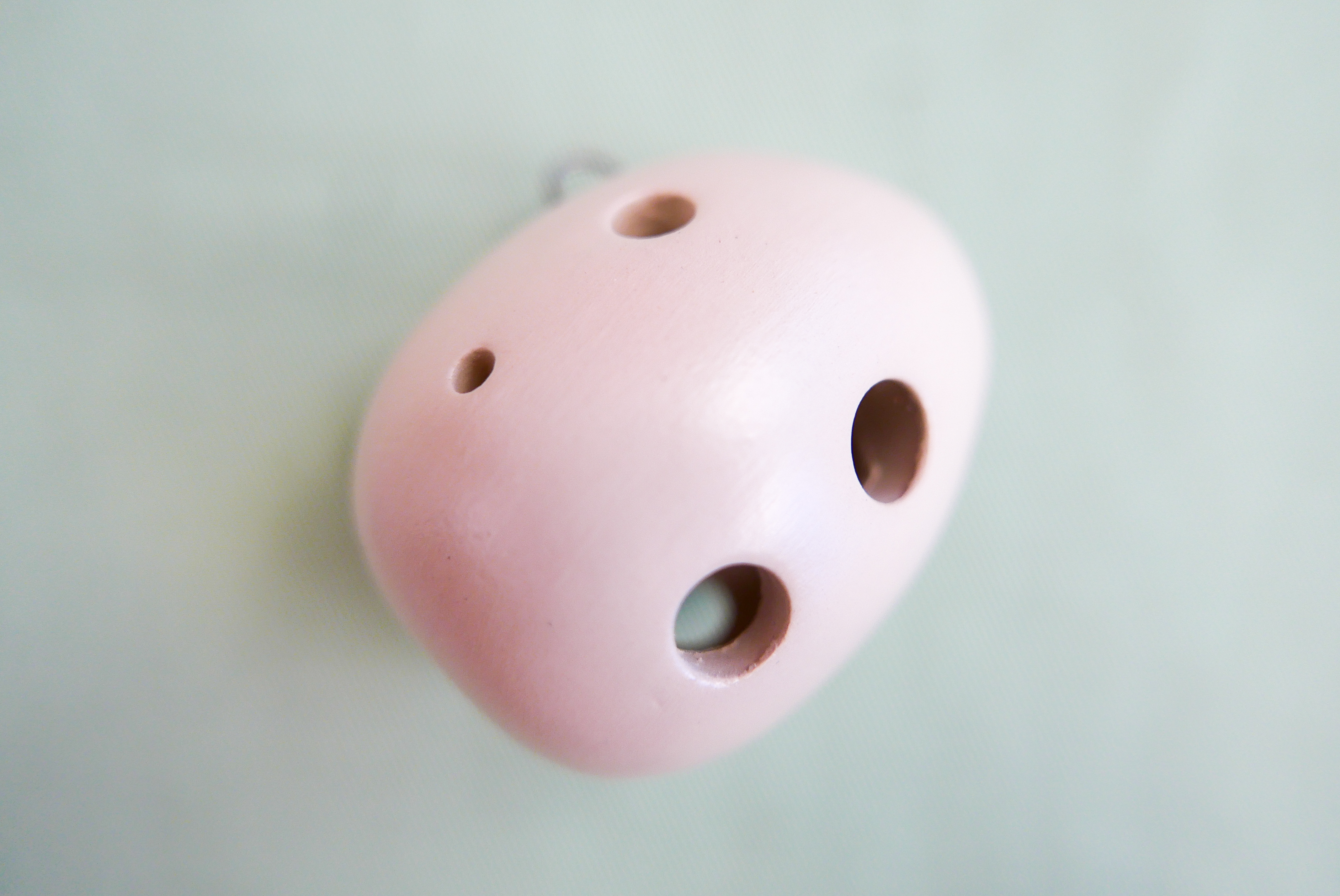 How to play Totoro’s mysterious flute from My Neighbour Totoro【Pics ...