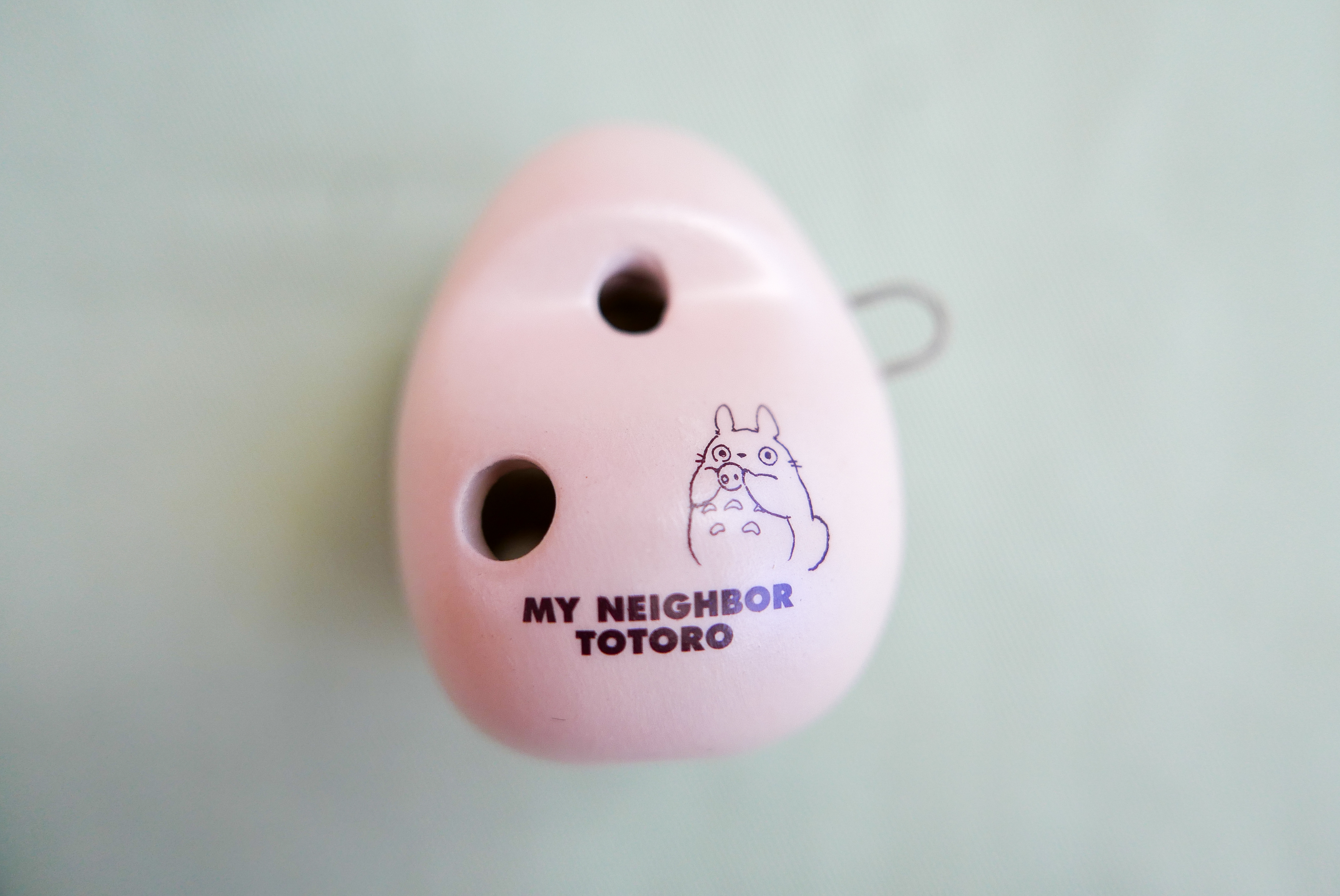 How to play Totoro’s mysterious flute from My Neighbour Totoro【Pics ...