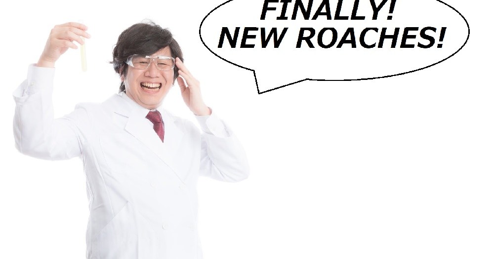 First new Japanese cockroach species in 35 years discovered by ...