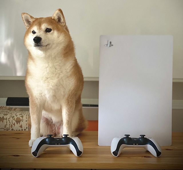 How big is the PlayStation 5? About as big as a Shibu Inu dog, photos ...